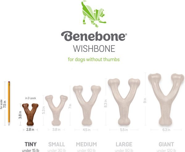 BENEBONE Bacon Flavor Tough Puppy Chew Toy, 2 count - Chewy.com