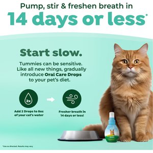 9 Best Water Additives for Cats 2024: According to Reviews | Chewy