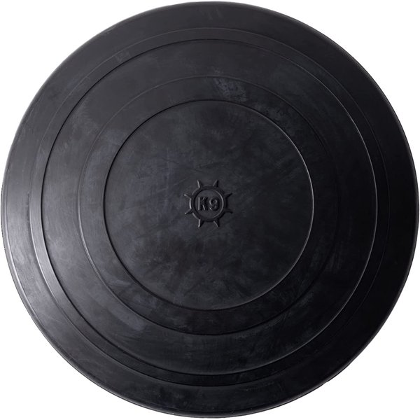 WEST PAW Zogoflex Zisc Flying Disc Dog Toy, Aqua Blue, Large - Chewy.com