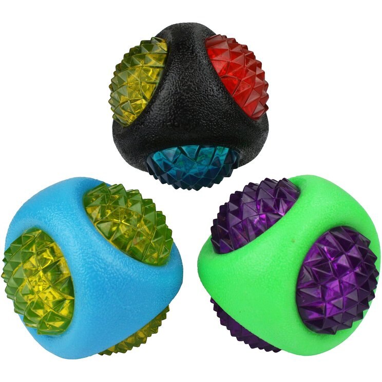 Dog Chewing Up Toys (Free Shipping) | Chewy