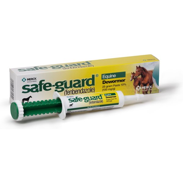 Out of Stock - SAFE-GUARD Equine Paste Horse Dewormer, 25-gm 10%, 1 ...