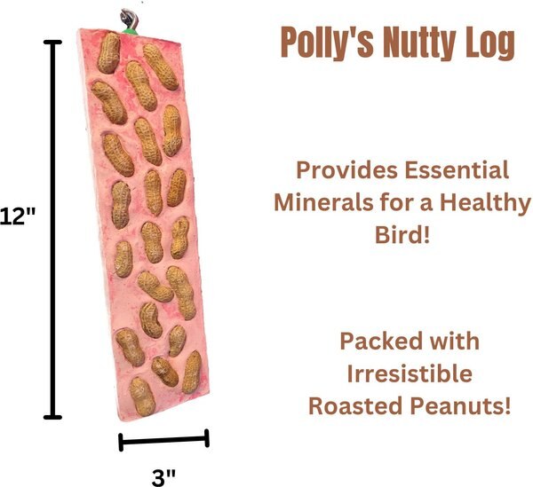 POLLY'S PET PRODUCTS Nutty Log Cactus Snack Bird Chew Toy - Chewy.com