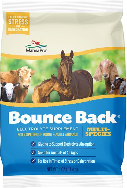 MANNA PRO Bounce Back Multi-Species Recovery Livestock & Horse ...