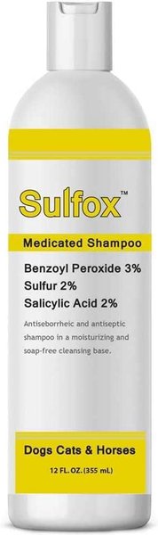 SULFOX Dog Shampoo, 12-oz bottle - Chewy.com