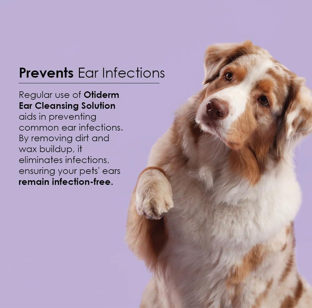 ORA-CLENS Otiderm Dog & Cat Ear Cleaner, 8-fl oz bottle - Chewy.com