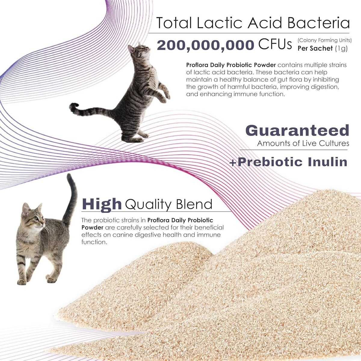 PROFLORA Powder Digestive Supplement for Cats, 30 servings - Chewy.com