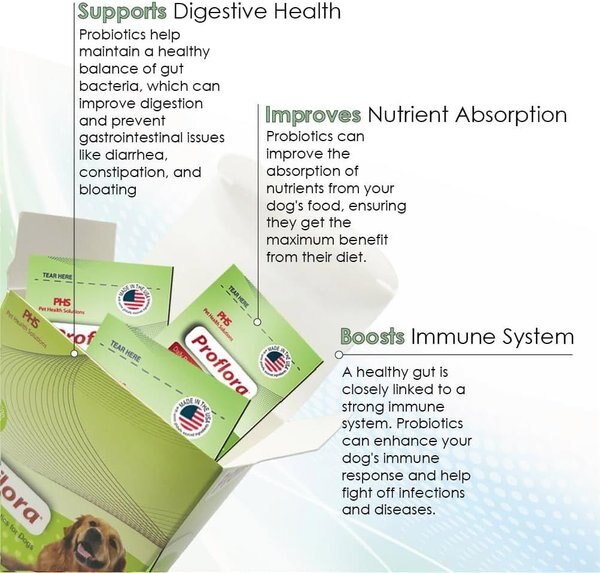 PROFLORA Powder Digestive Supplement for Dogs, 30 servings - Chewy.com