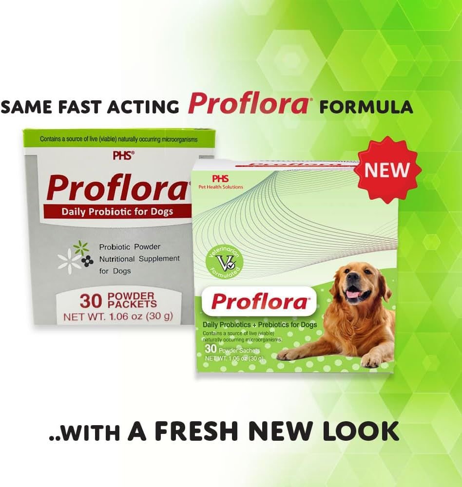 PROFLORA Powder Digestive Supplement for Dogs, 30 servings - Chewy.com