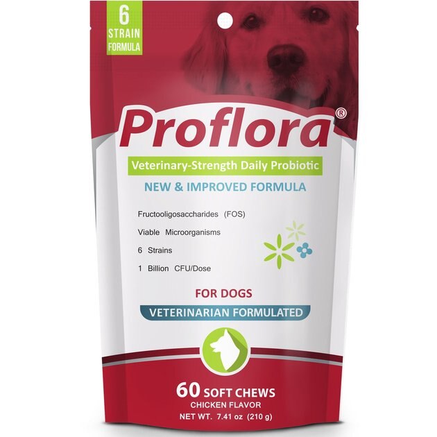 PROFLORA Chicken Flavored Soft Chew Digestive Supplement for Dogs, 60 ...