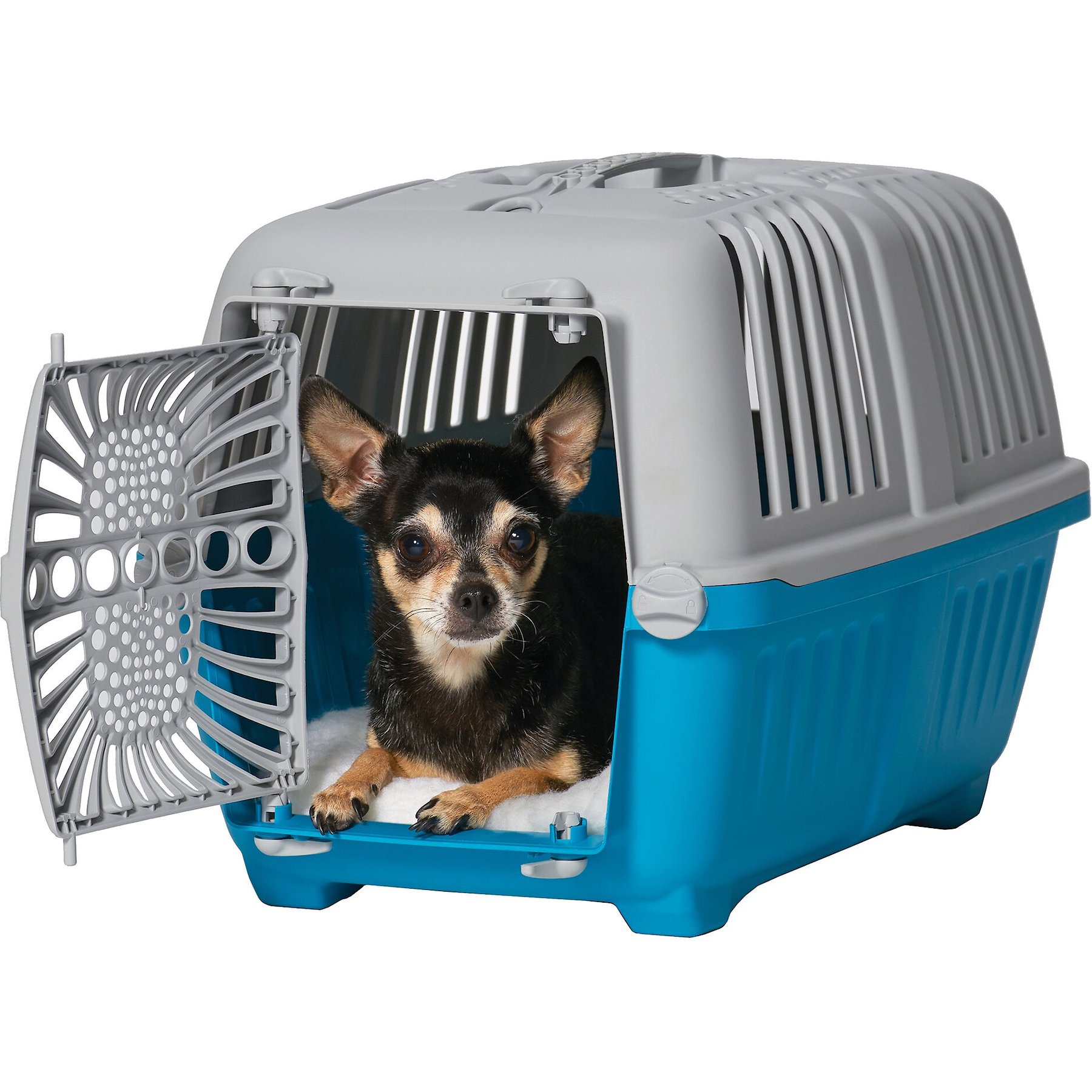 MIDWEST Spree Hard-Sided Dog & Cat Kennel, Blue, 19-in - Chewy.com