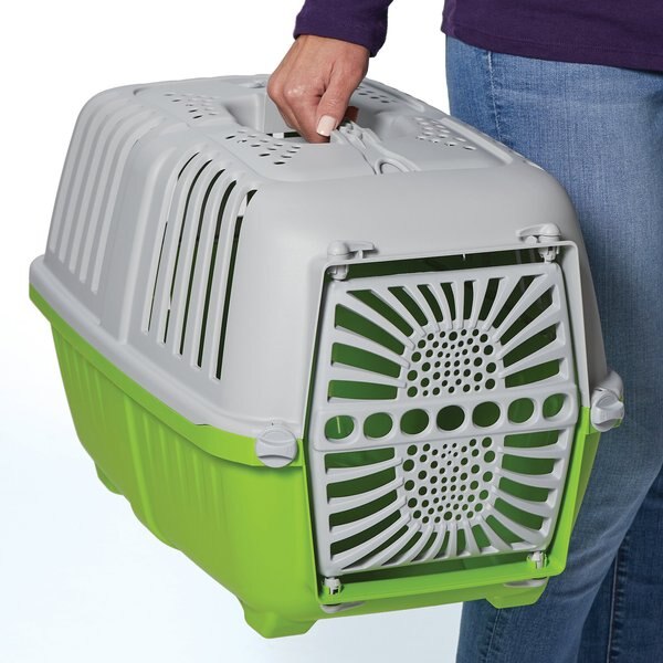 MIDWEST Spree Hard-Sided Dog & Cat Kennel, Green, 19-in - Chewy.com