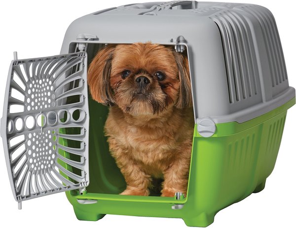 MIDWEST Spree Hard-Sided Dog & Cat Kennel, Green, 22-in - Chewy.com