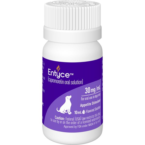 ENTYCE (capromorelin) Oral Solution for Dogs, 10-mL - Chewy.com