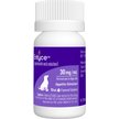 ENTYCE (capromorelin) Oral Solution for Dogs, 10-mL - Chewy.com