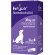 ENTYCE (capromorelin) Oral Solution for Dogs, 10-mL - Chewy.com