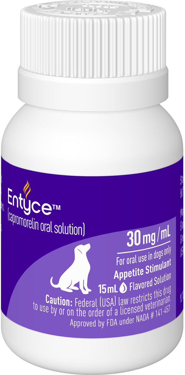 ENTYCE (capromorelin) Oral Solution for Dogs, 15-mL - Chewy.com