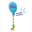 FRISCO Birthday Balloon Plush with Rope Squeaky Dog Toy, Blue, Small ...