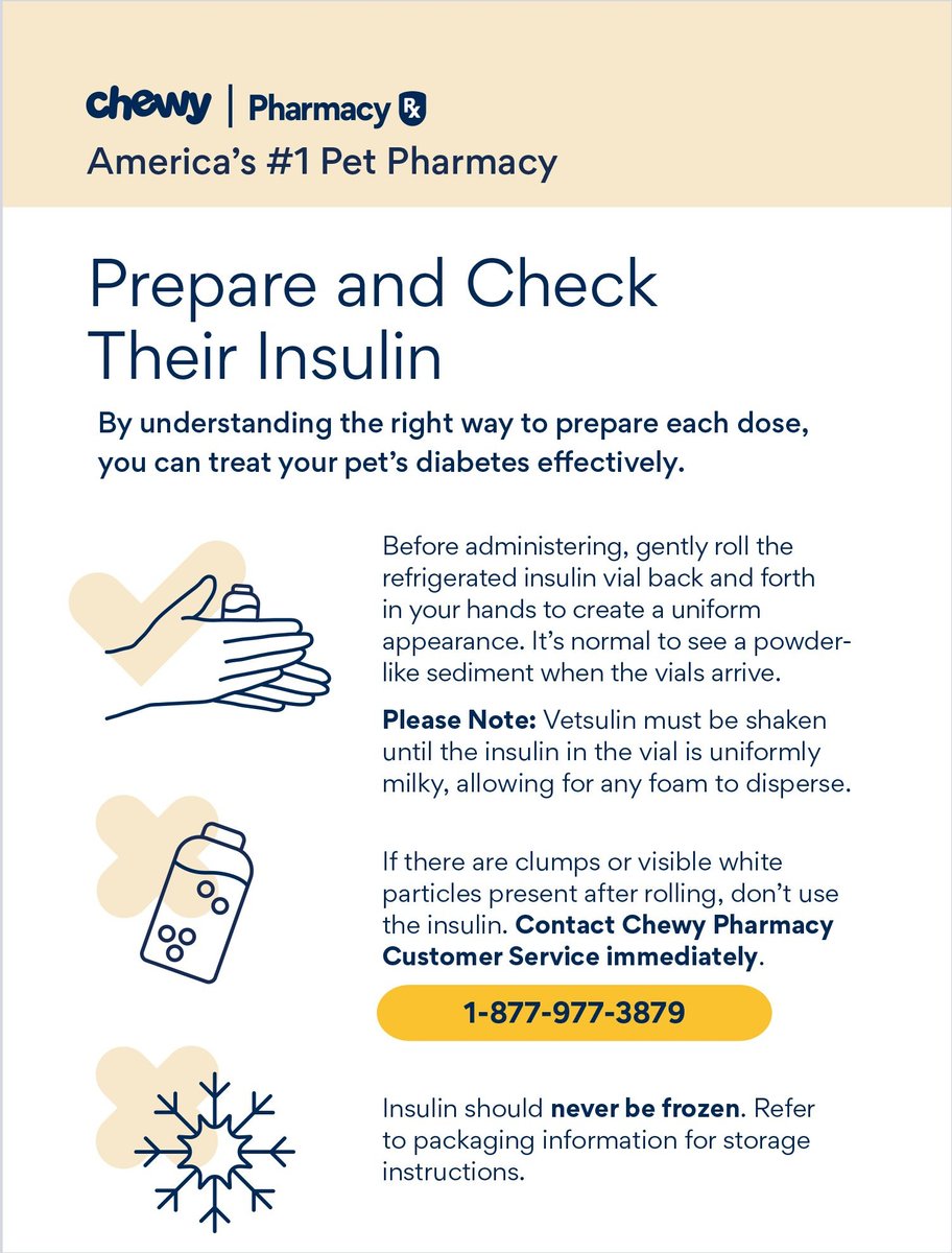 BUTE Phenylbutazone (Generic) Injectable Solution 20% for Horses, 100 ...