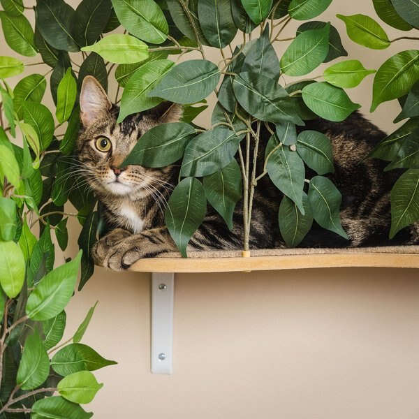 ON2PETS Cat Canopy Wall Shelves, Curve, 2 count - Chewy.com