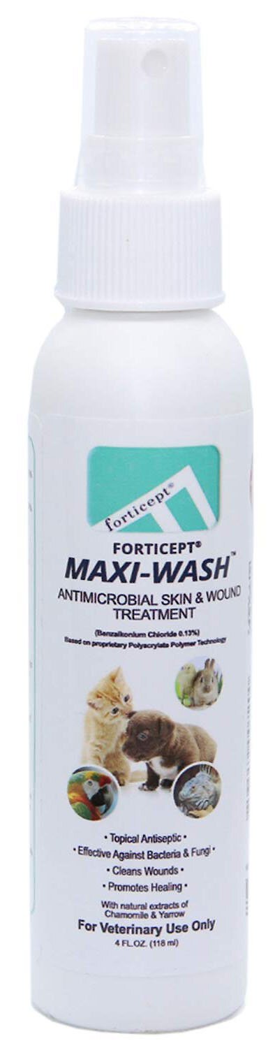 Questions and Answers about FORTICEPT Maxi-Wash Antimicrobial Skin ...