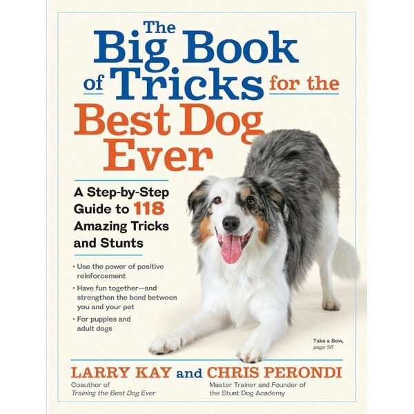 101 Dog Tricks: Step by Step Activities to Engage, Challenge, & Bond ...