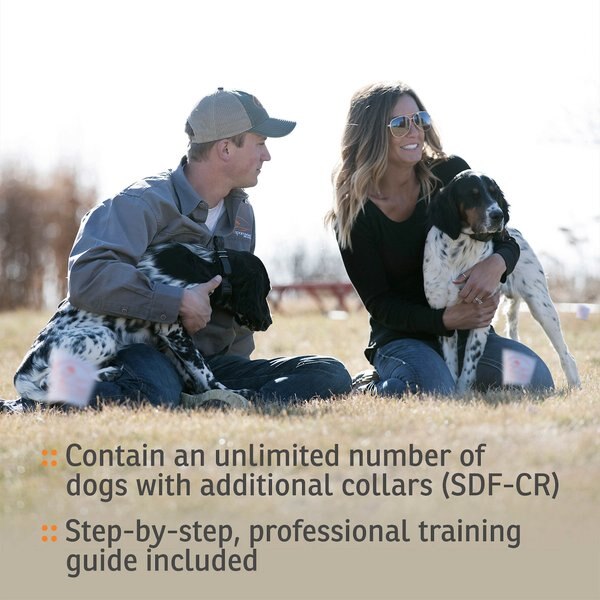 SPORTDOG Rechargeable In-Ground Dog Fence System - Chewy.com