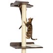 PETFUSION 76.8-in Wall Mounted Cat Tree - Chewy.com