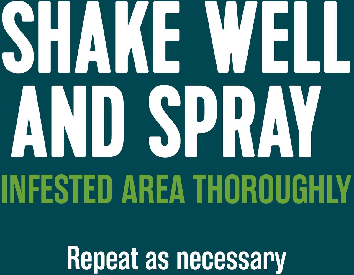 ECOLOGIC Lawn & Yard Insect Killer Spray, 32-fl oz - Chewy.com