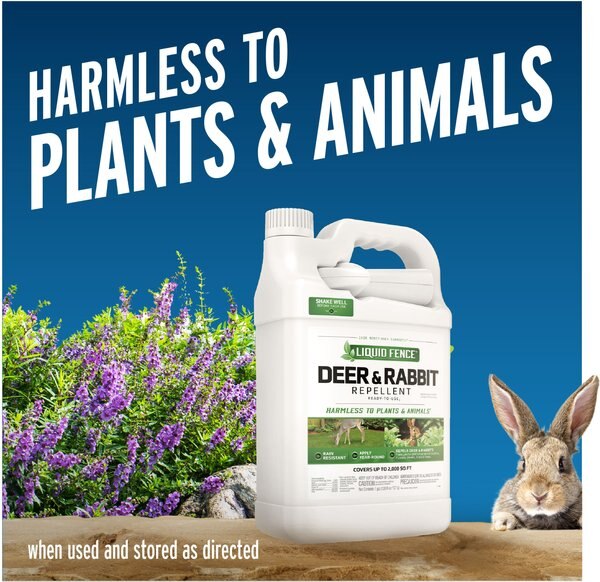 LIQUID FENCE Deer & Rabbit Repellent Spray, 128-fl oz bottle - Chewy.com