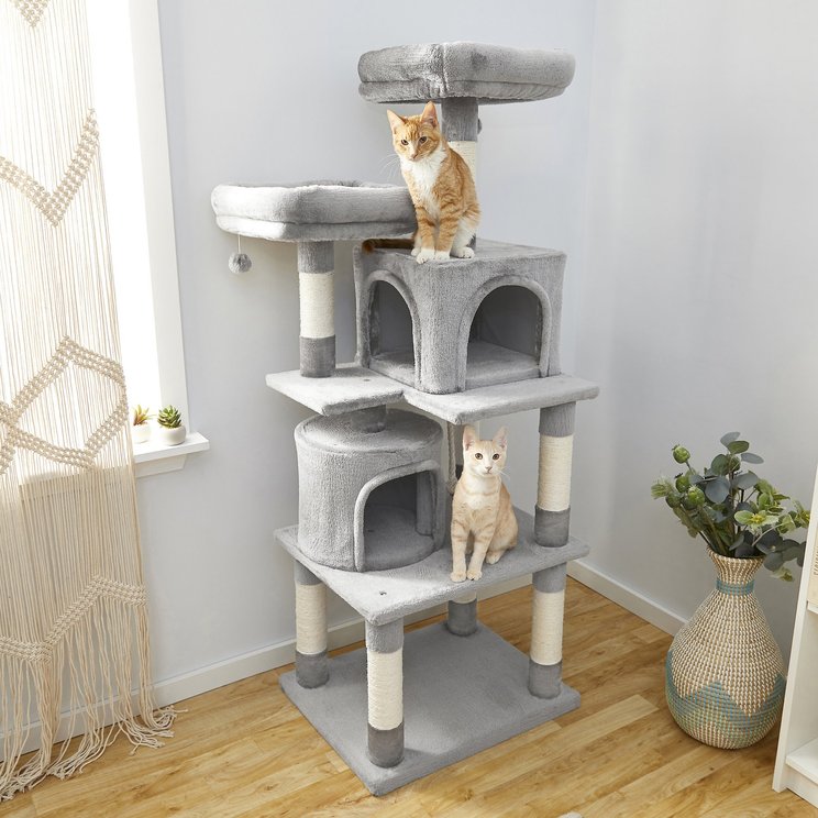 Cat Trees - Free shipping | Chewy