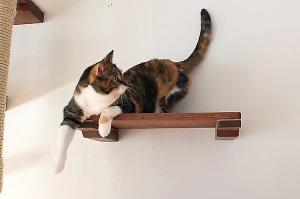 Discontinued Catastrophicreations Cat Mod Wall Mounted Cat Shelf