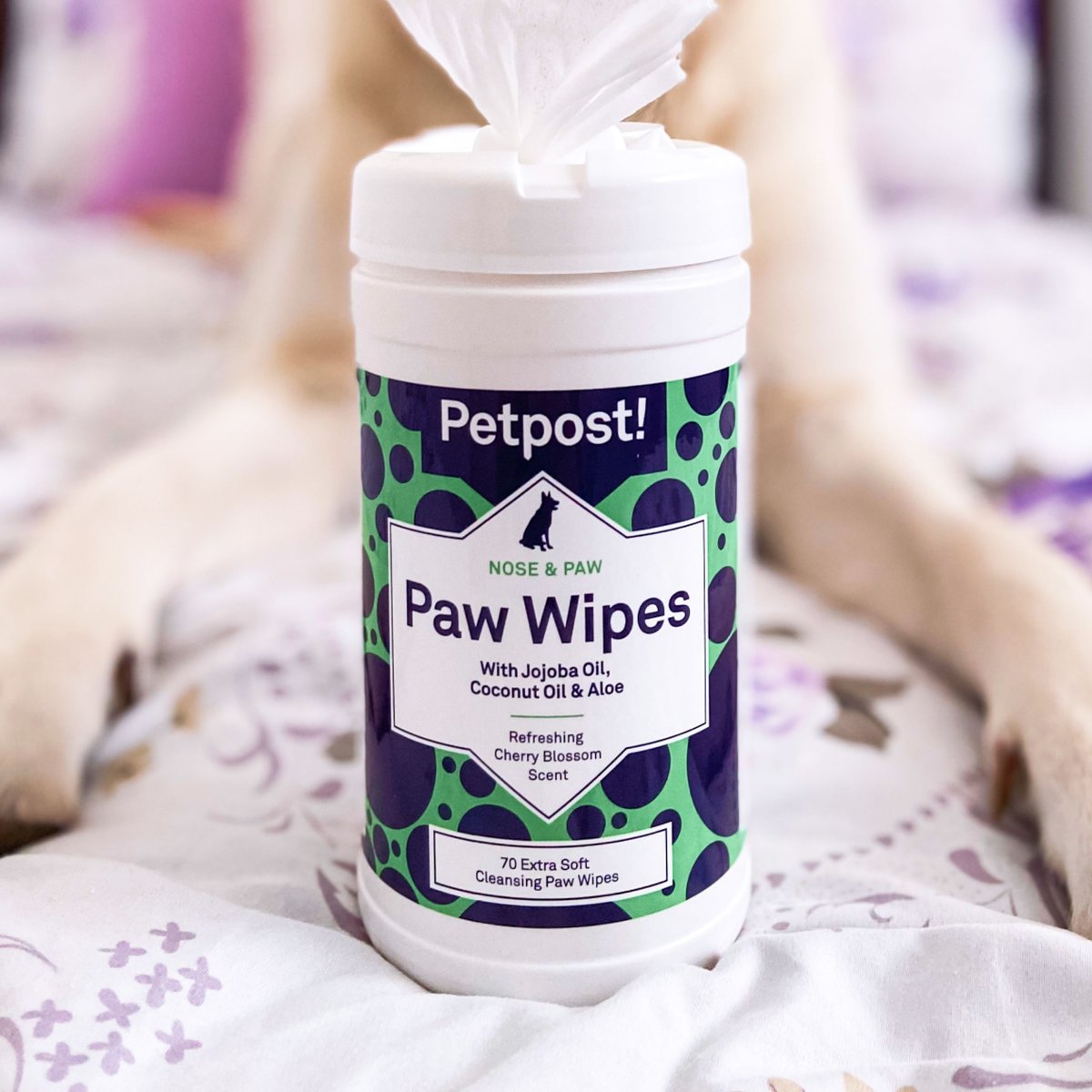 PETPOST Dog Paw Wipes, 70 count - Chewy.com