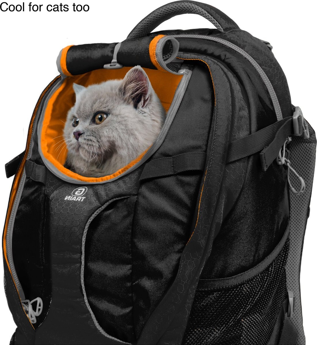 KURGO G-Train Dog Carrier Backpack, Black - Chewy.com