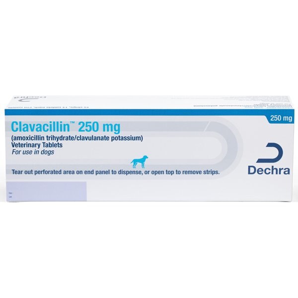 CLAVACILLIN (amoxicillin trihydrate/clavulanate potassium) Tablets for ...