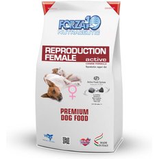 Forza10 - Free shipping | Chewy