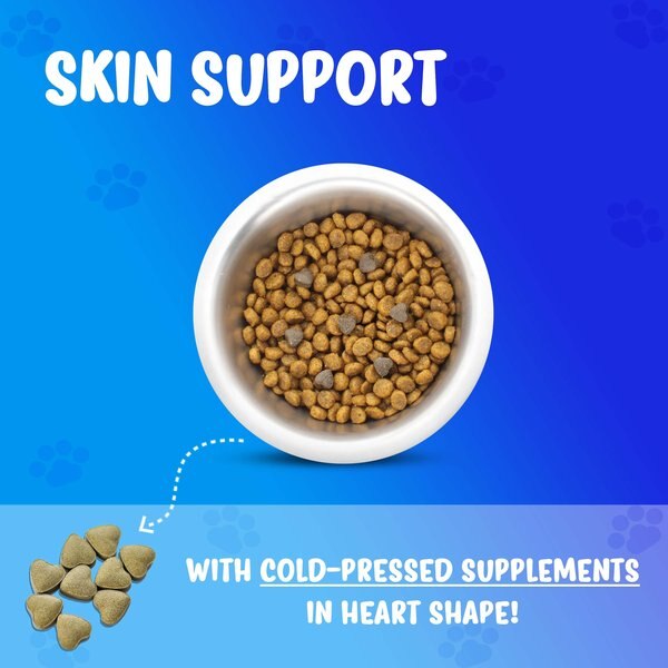 Discontinued - FORZA10 Nutraceutic Active Line Dermo Dry Cat Food, 4-lb bag - Chewy.com