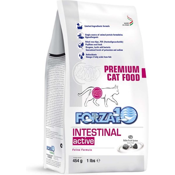 FORZA10 Nutraceutic Active Urinary Dry Cat Food, 1-lb bag - Chewy.com