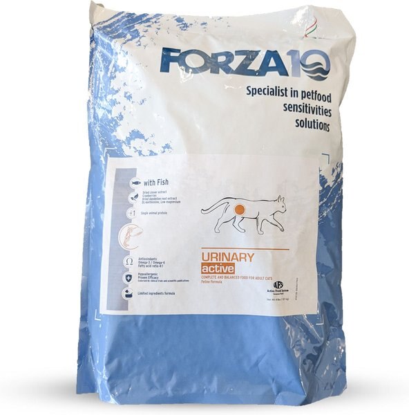 FORZA10 Nutraceutic Active Urinary Dry Cat Food, 4-lb bag - Chewy.com