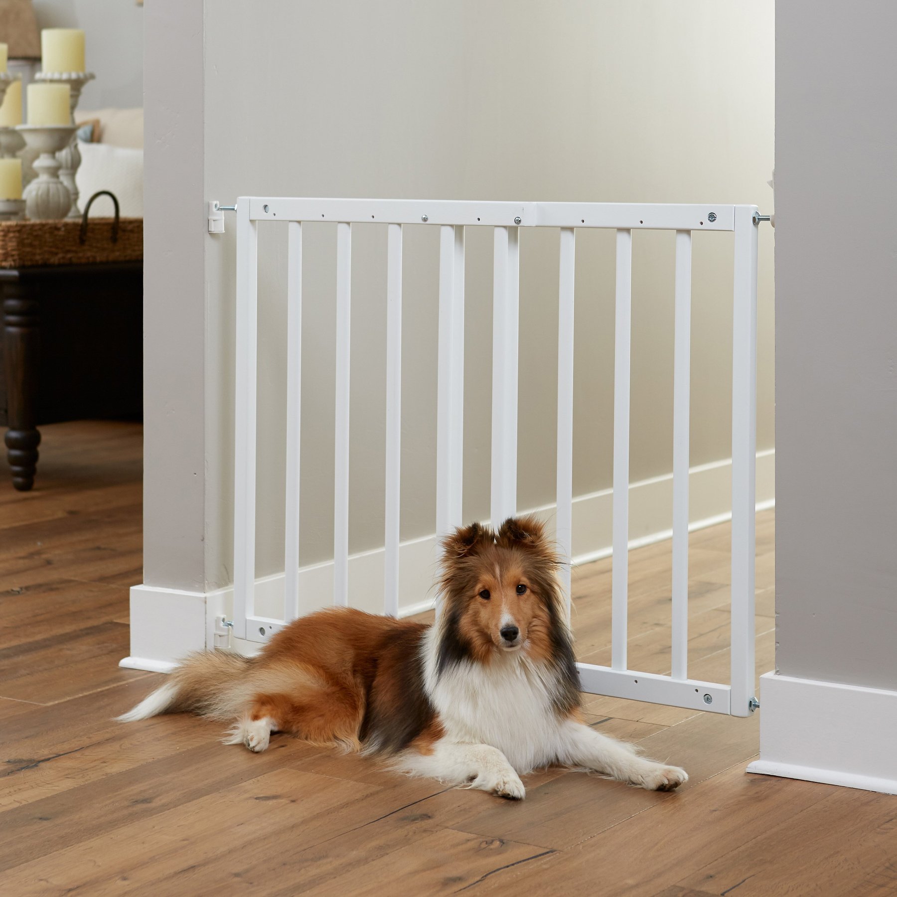 PRIMETIME PETZ DIY Safety Mate Expandable Pet Gate for Doorways, White ...