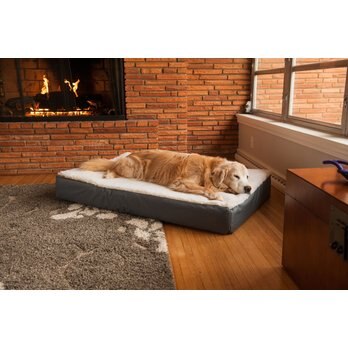 Snoozer Pet Products: Snoozer Dog & Pet Beds - Free Shipping