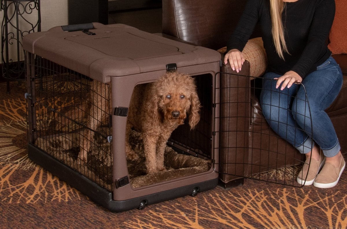 PET GEAR The Other Door 4-Door Collapsible Wire Dog Crate & Pad ...
