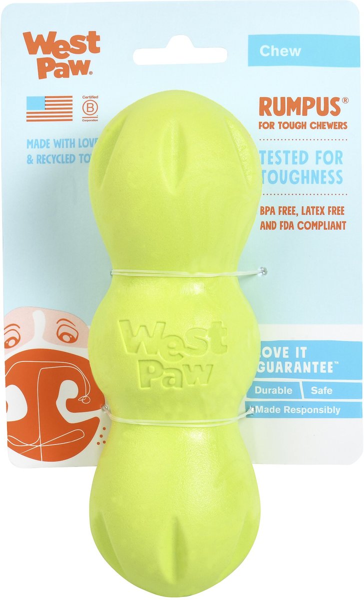 WEST PAW Rumpus Medium Tough Dog Chew Toy, Green - Chewy.com