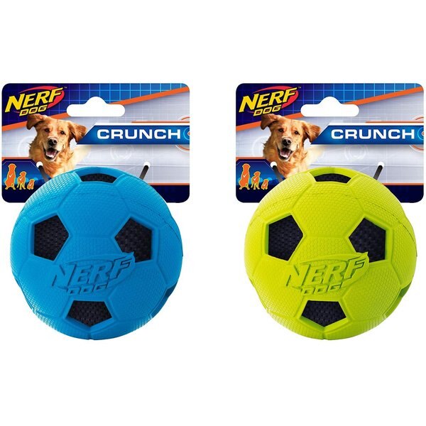 NERF DOG Ridged Squeak Football Dog Toy, Large, Blue - Chewy.com