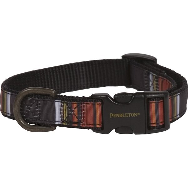 PENDLETON Acadia National Park Nylon Dog Collar, Medium: 14 to 18-in ...