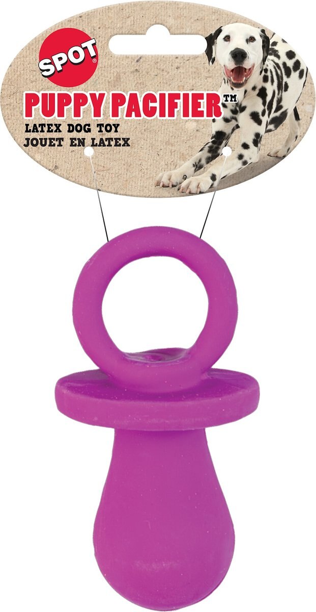 ETHICAL PET Pacifier Squeaky Puppy Chew Toy, Color Varies, 4-in - Chewy.com