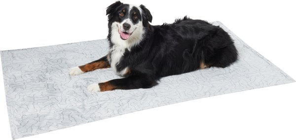 ETHICAL PET Snuggler Patterned Dog Blanket, Gray, 60-in - Chewy.com