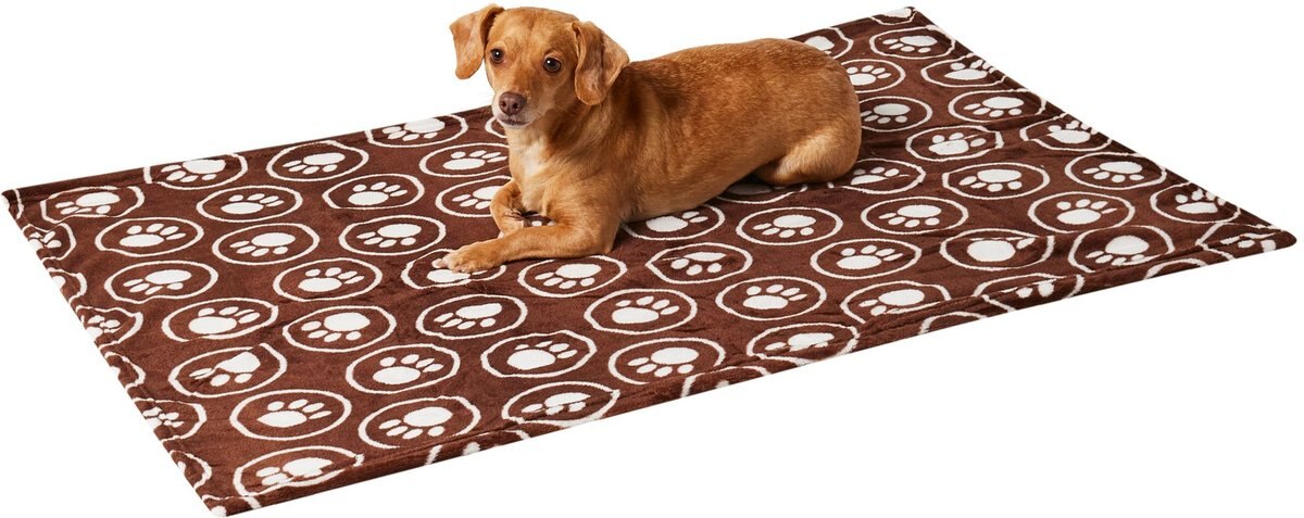 ETHICAL PET Snuggler Patterned Dog Blanket, Chocolate, 40-in - Chewy.com