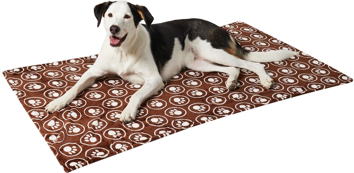 ETHICAL PET Snuggler Patterned Dog Blanket, Chocolate, 60-in - Chewy.com