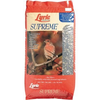 Bird Food Block (Free Shipping) | Chewy
