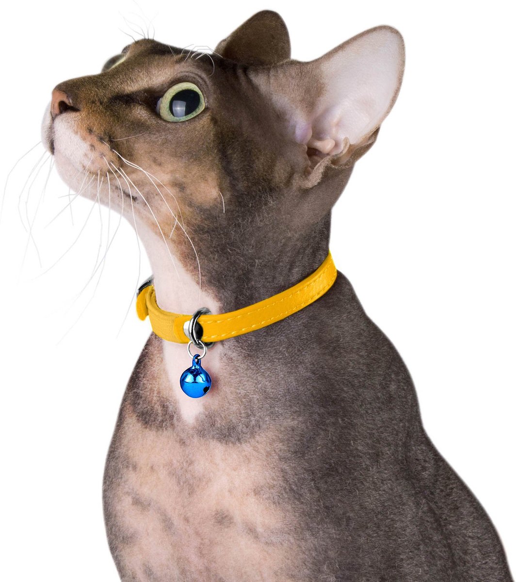 COLLARDIRECT Leather Cat Collar with Bell, Yellow, Small: 6 to 7-in ...